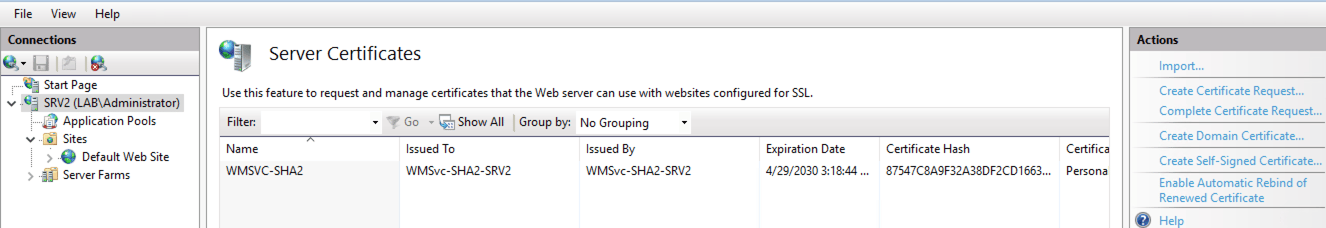 Reverse Proxy Tomcat with Internet Information Server